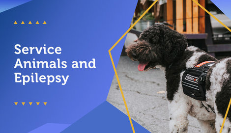 What Are the Chances of Inheriting Epilepsy? | MyEpilepsyTeam