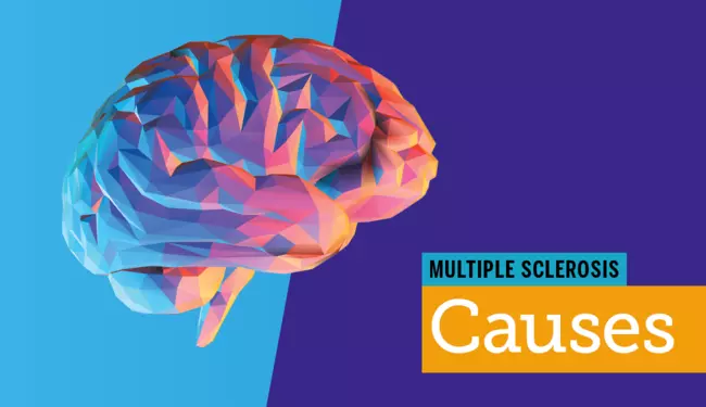 List of MS Causes and Risk Factors | MyMSTeam