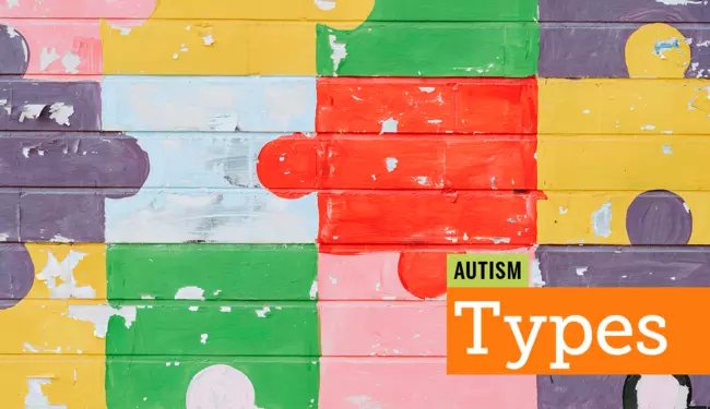Autism Types and Classification | MyAutismTeam