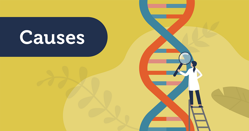 Your Guide to Parkinson's: Symptoms, Treatments, and More ...