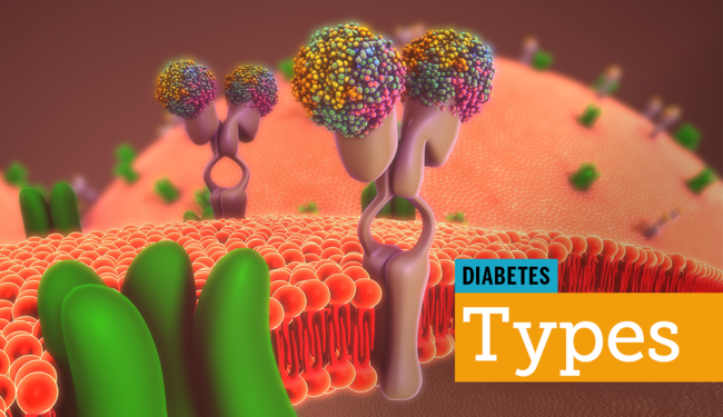 Your Guide to Diabetes: Symptoms, Treatments, and More | DiabetesTeam