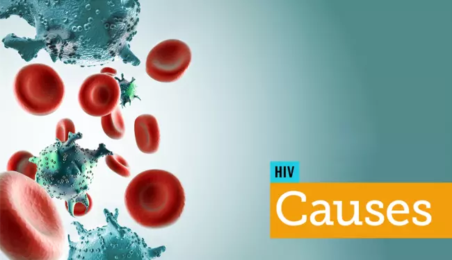 HIV: Cause, Prevention, and Risk Factors | myHIVteam
