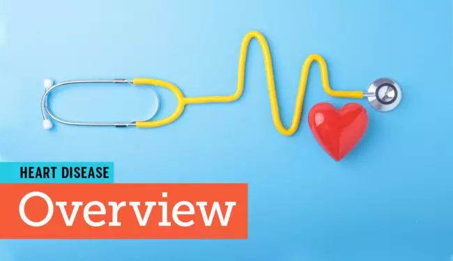 Heart Disease – An Overview | MyHeartDiseaseTeam