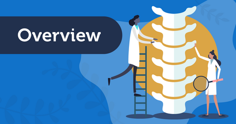 6 Types of Spondylitis and Their Descriptions | MySpondylitisTeam