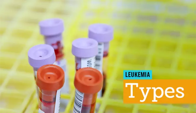 Types of Leukemia | MyLeukemiaTeam