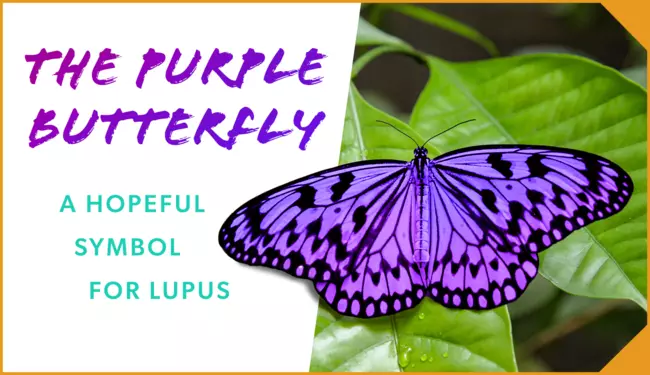 The Purple Butterfly: A Hopeful Symbol for Lupus | MyLupusTeam