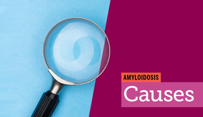 Your Guide To Amyloidosis Symptoms Treatments And More Myamyloidosisteam