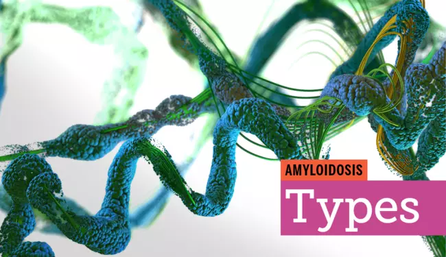 Types of Amyloidosis | MyAmyloidosisTeam