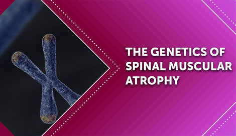 Spinal Muscular Atrophy Pathophysiology | mySMAteam