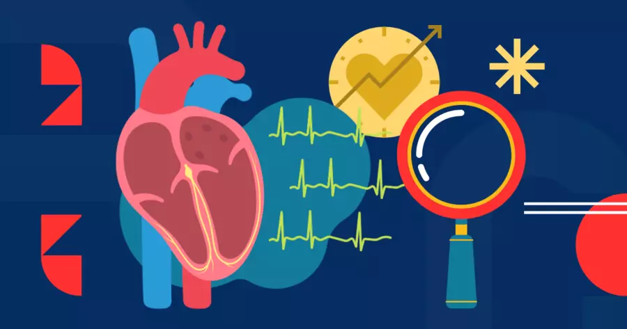 Hypertrophic Cardiomyopathy: Life Expectancy and Complications ...