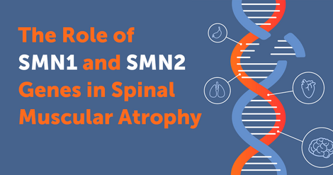 SMA and ALS: 5 Differences and 3 Similarities | mySMAteam