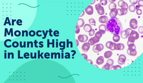 Low White Blood Cell Count and Leukemia | MyLeukemiaTeam