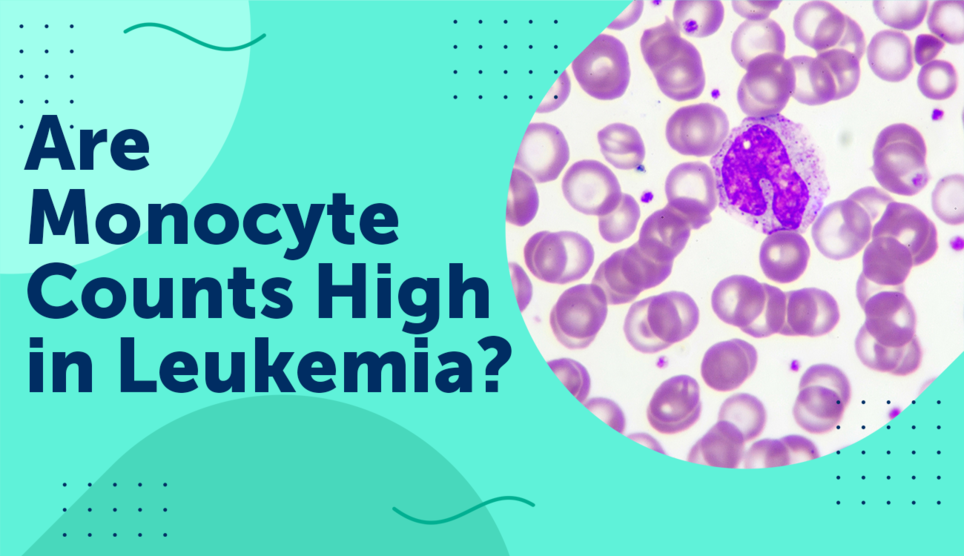 Leukemia Condition Information | MyLeukemiaTeam