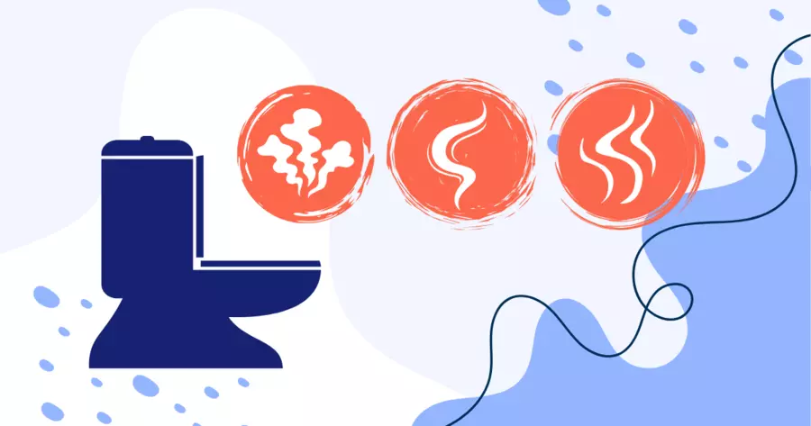 Stool Smells and What They Mean: Ammonia, Metal, and More ...