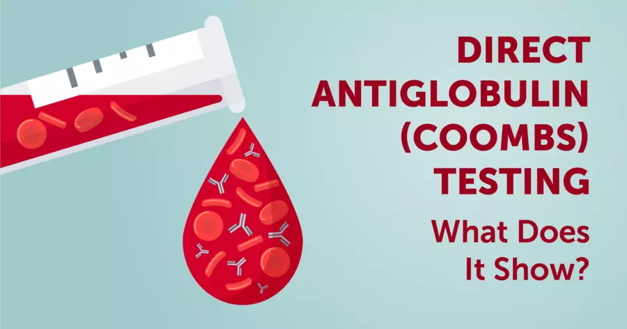 Direct Antiglobulin (Coombs) Testing: What Does It Show? | myAIHAteam