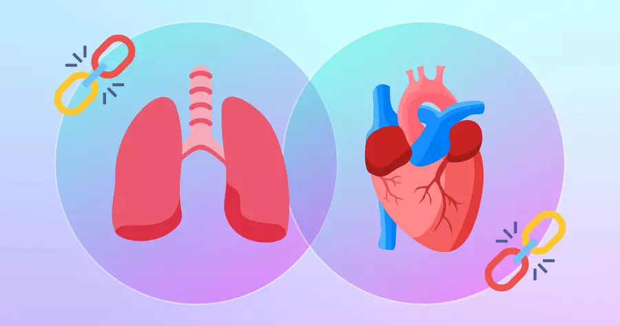 Pulmonary Arterial Hypertension: How Are the Lungs and Heart Connected ...