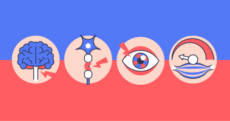 Advanced Multiple Sclerosis: 4 Symptoms and 8 Ways To Manage | MyMSTeam