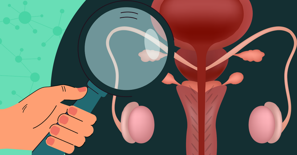 CAHteam - The social network for those living with congenital adrenal ...