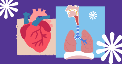 What Is Structural Heart Disease? | MyHeartDiseaseTeam