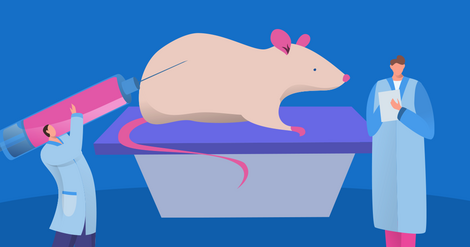 What Is Acute Graft-Versus-Host Disease? 9 Facts | myGVHDteam