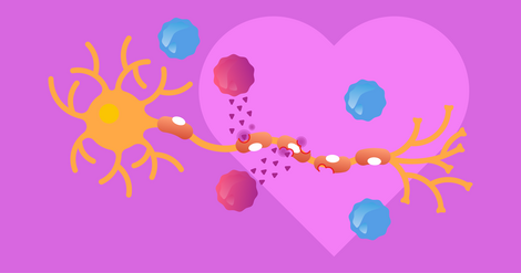 Gout and Heart Disease: What’s the Risk? | MyHeartDiseaseTeam