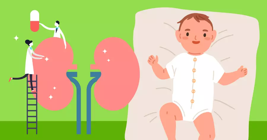 Kidney Disease in Babies: Rare Conditions and Treatment Options ...