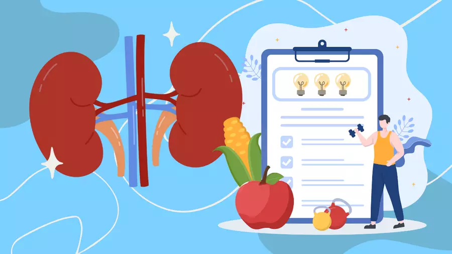Stage 2 Kidney Disease: What It Means and How To Treat It ...