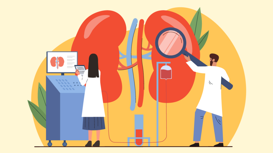 MyKidneyDiseaseTeam - The social network for those living with rare ...